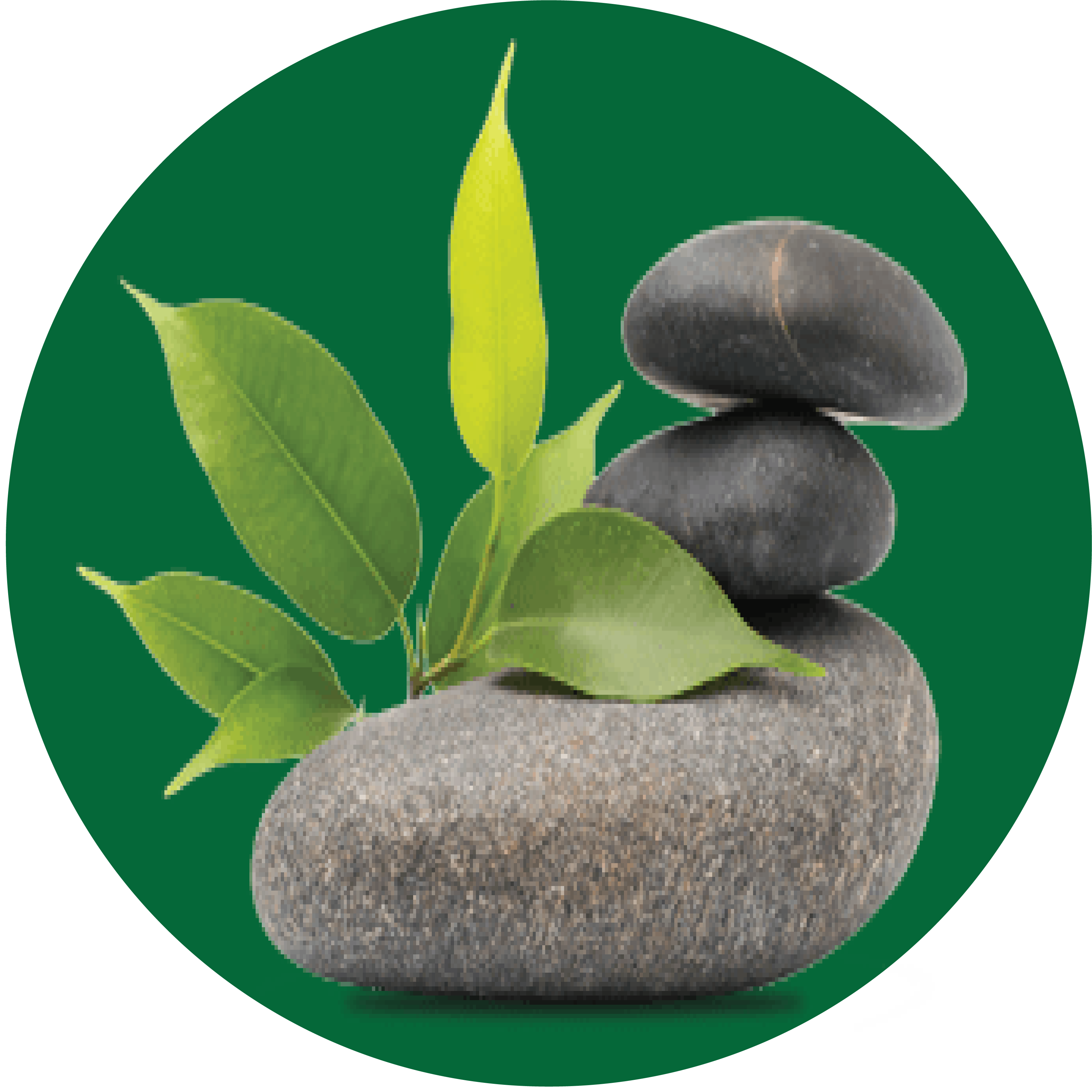 The Human Relations | FEEL BETTER!